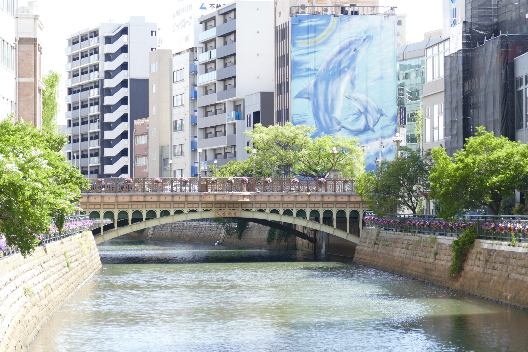 納屋橋情報 Nayabashi info